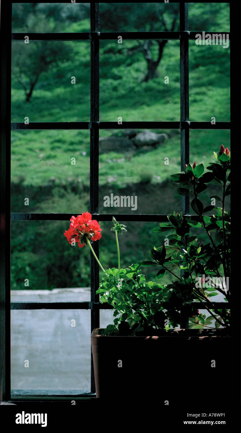 Windowboxes flower display hi-res stock photography and images - Alamy