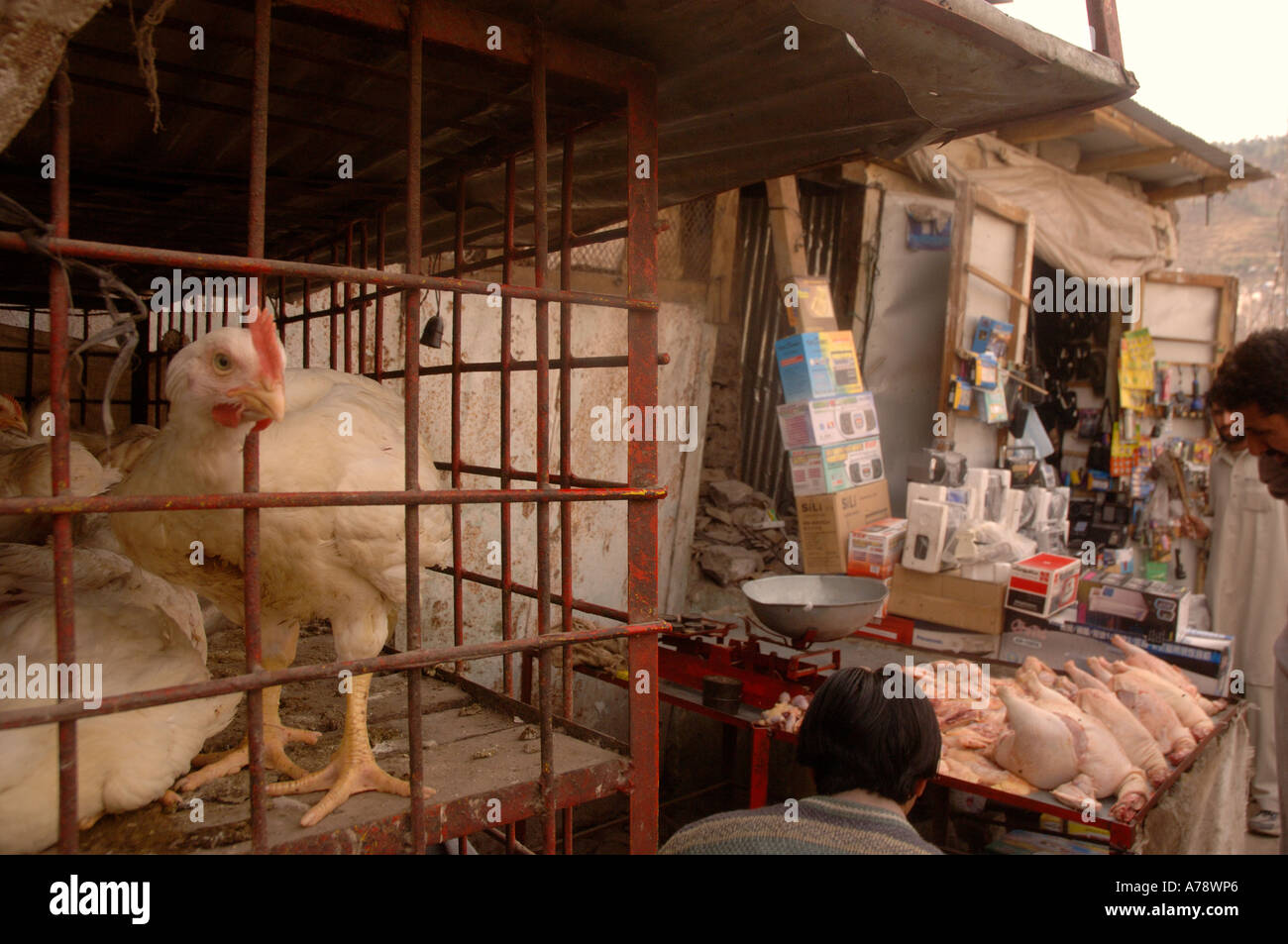 Naswar hi-res stock photography and images - Alamy