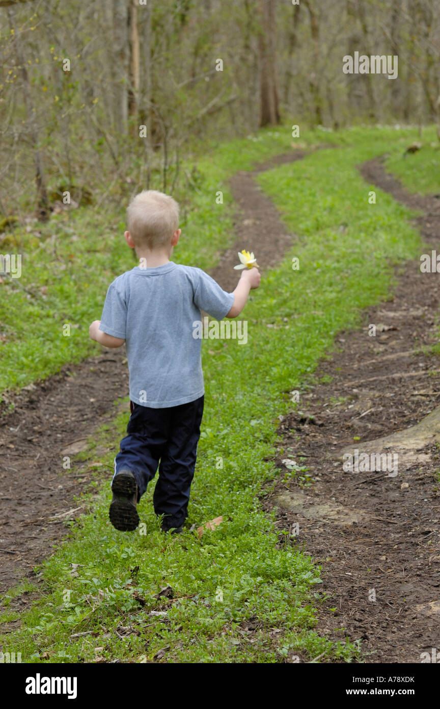Young Boy With Flower Stock Photo - Alamy