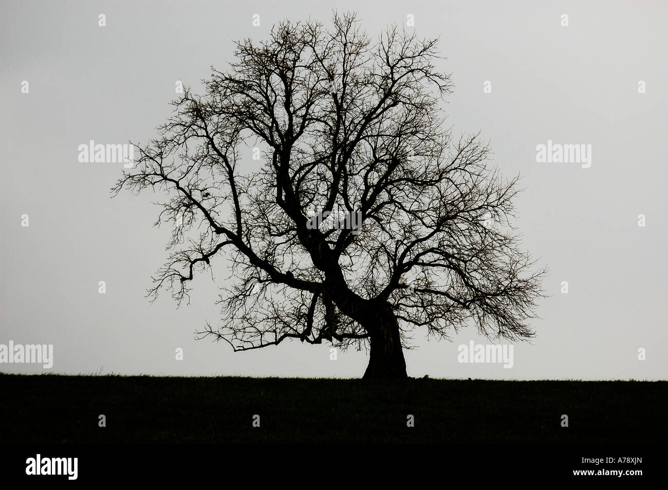 Bent silhouette hi-res stock photography and images - Alamy