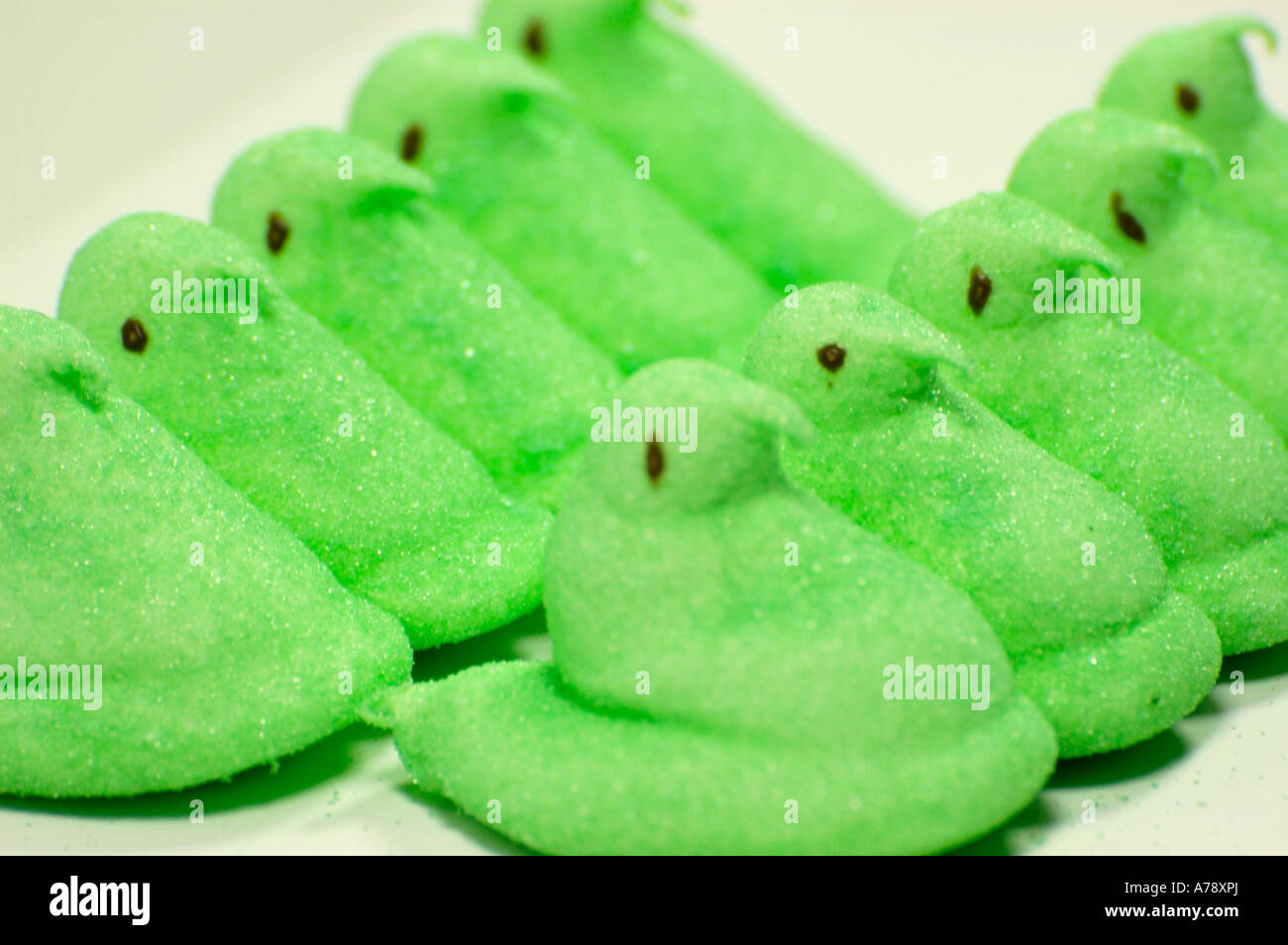 Green colored sugar coated marshmallow baby chicks that are popular ...
