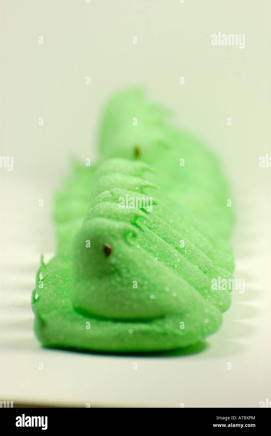 Green colored sugar coated marshmallow baby chicks that are popular ...