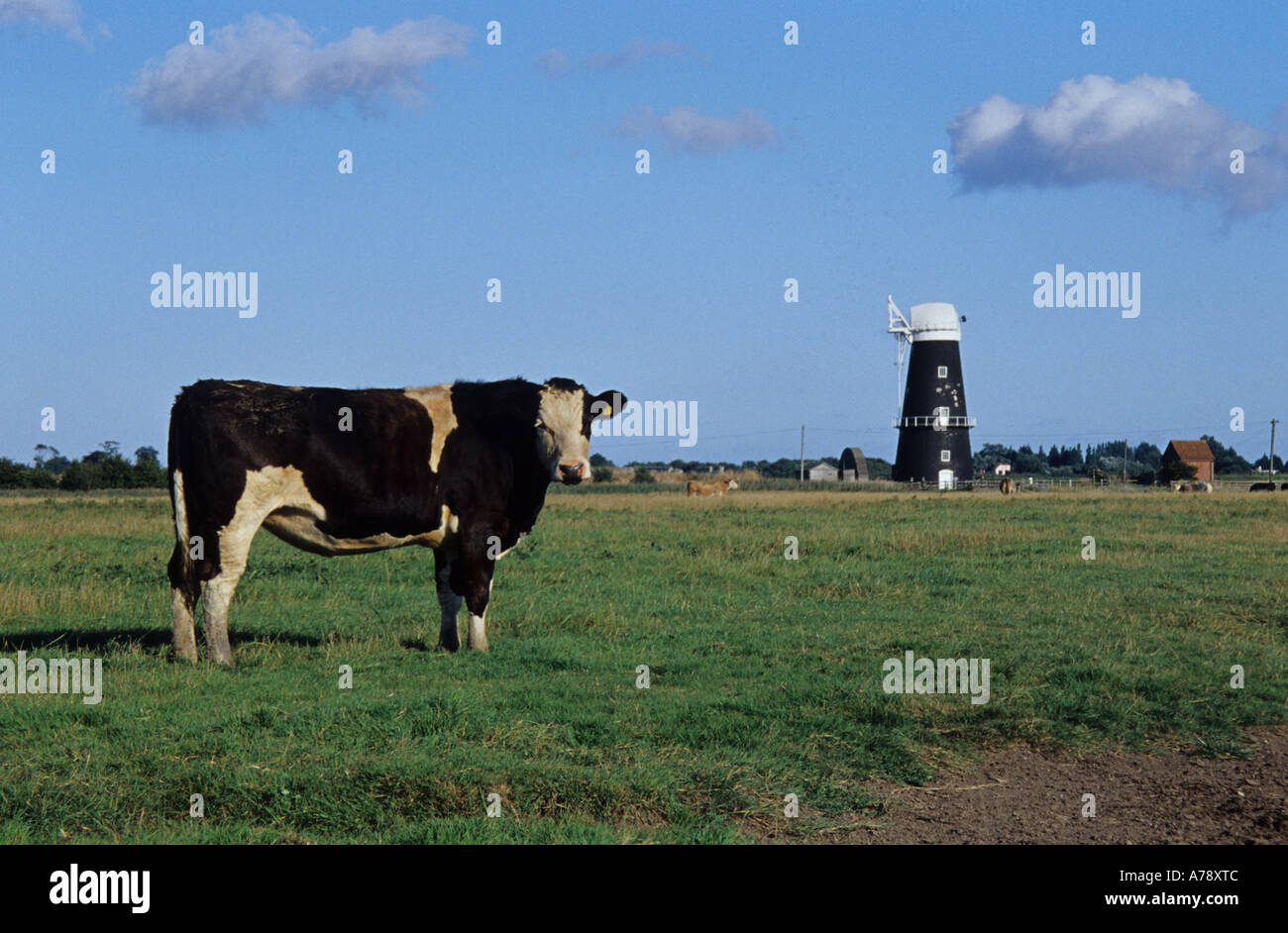 Berney arms mill hi-res stock photography and images - Alamy