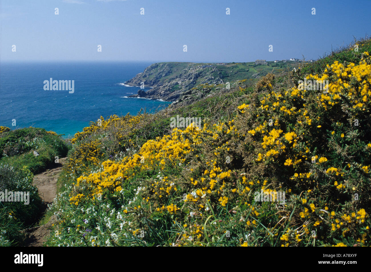 Heather turquoise sea hi-res stock photography and images - Alamy