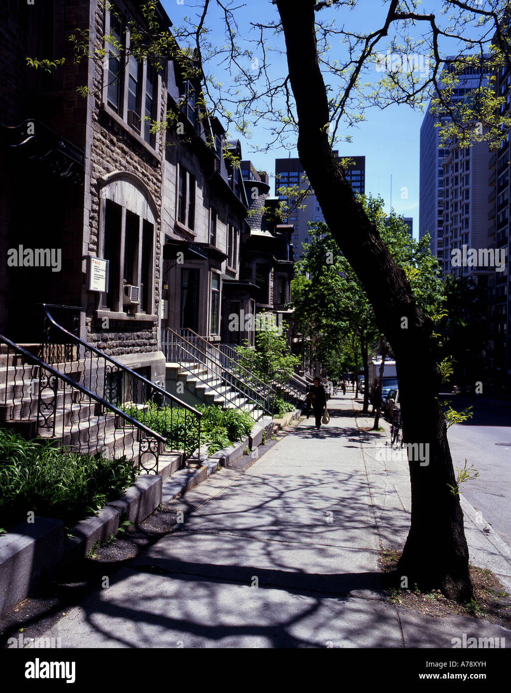 Montreal city, Canada, residential street in Spring Stock Photo - Alamy