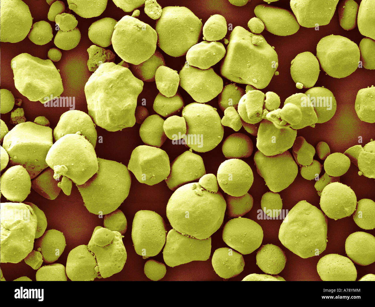 SEM - CORNSTARCH BASED BABY POWDER Stock Photo - Alamy