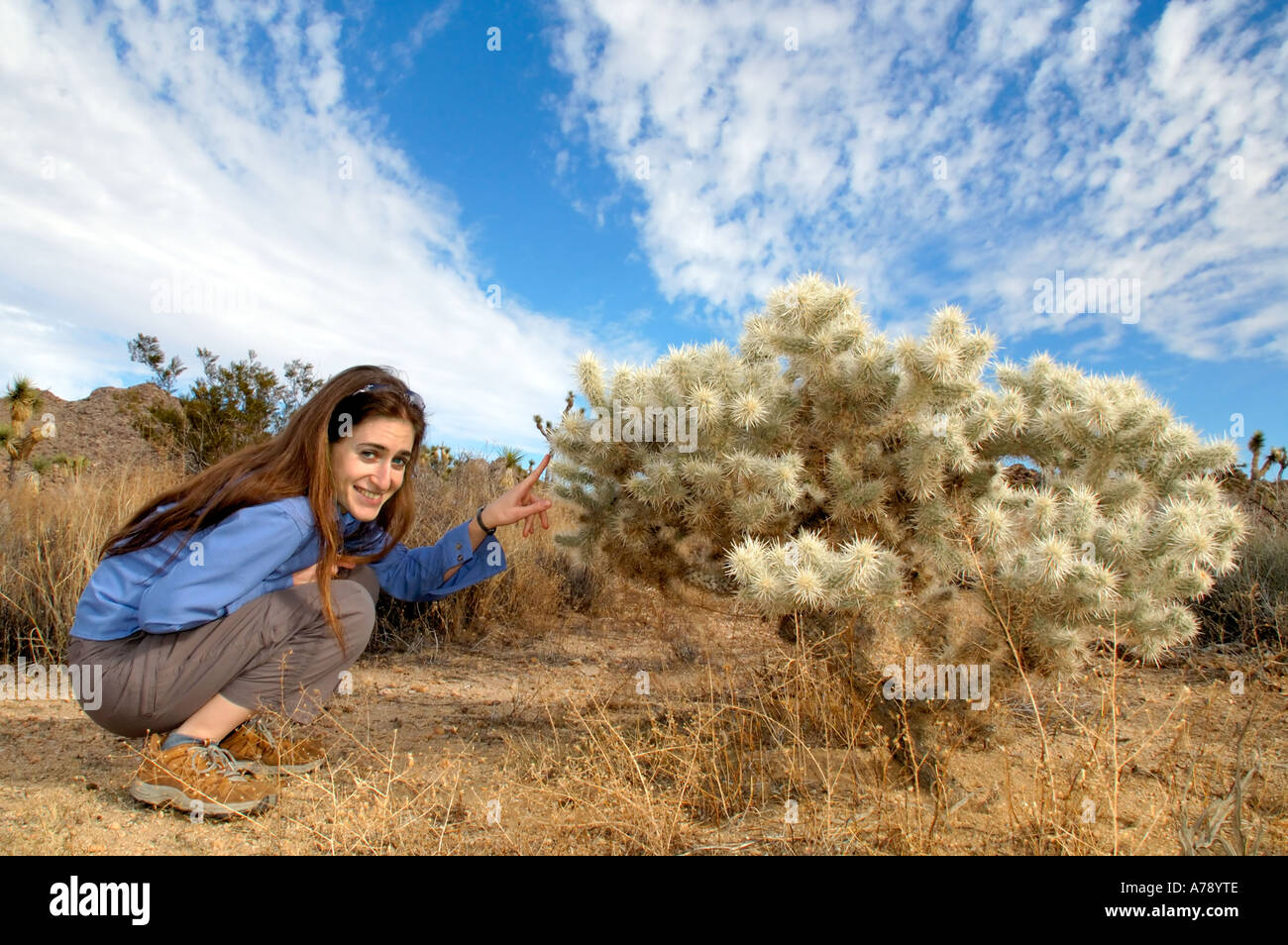 Lady finger cactus hi-res stock photography and images - Alamy