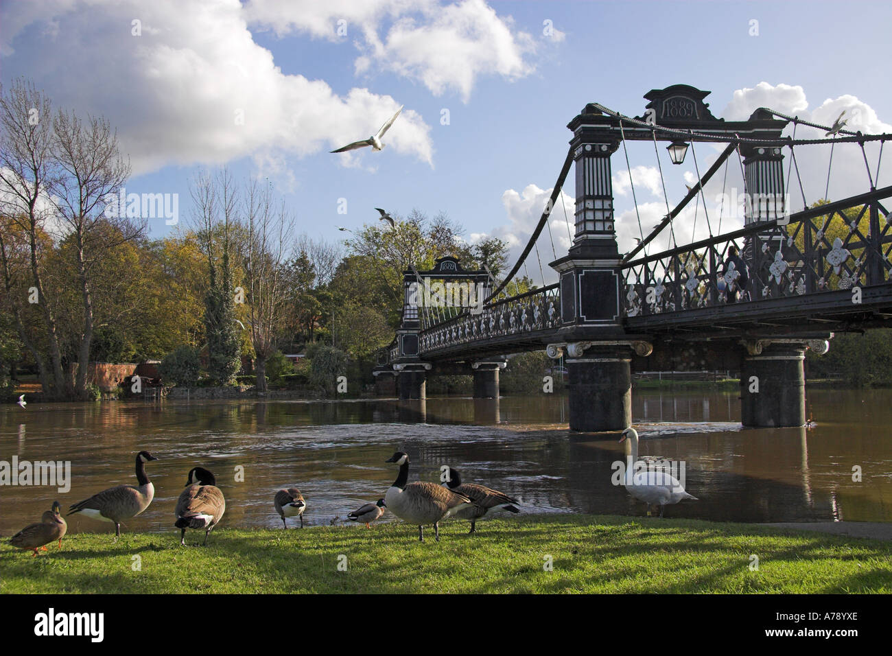 The Ferry Bridge over the River Trent, Stapenhill, Burton upon Trent ...