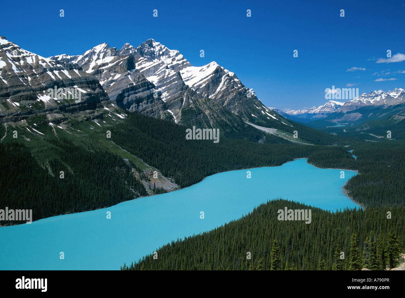 Peyto Lake Mt Patterson 10,490 feet Banff National Park Alberta Canada ...