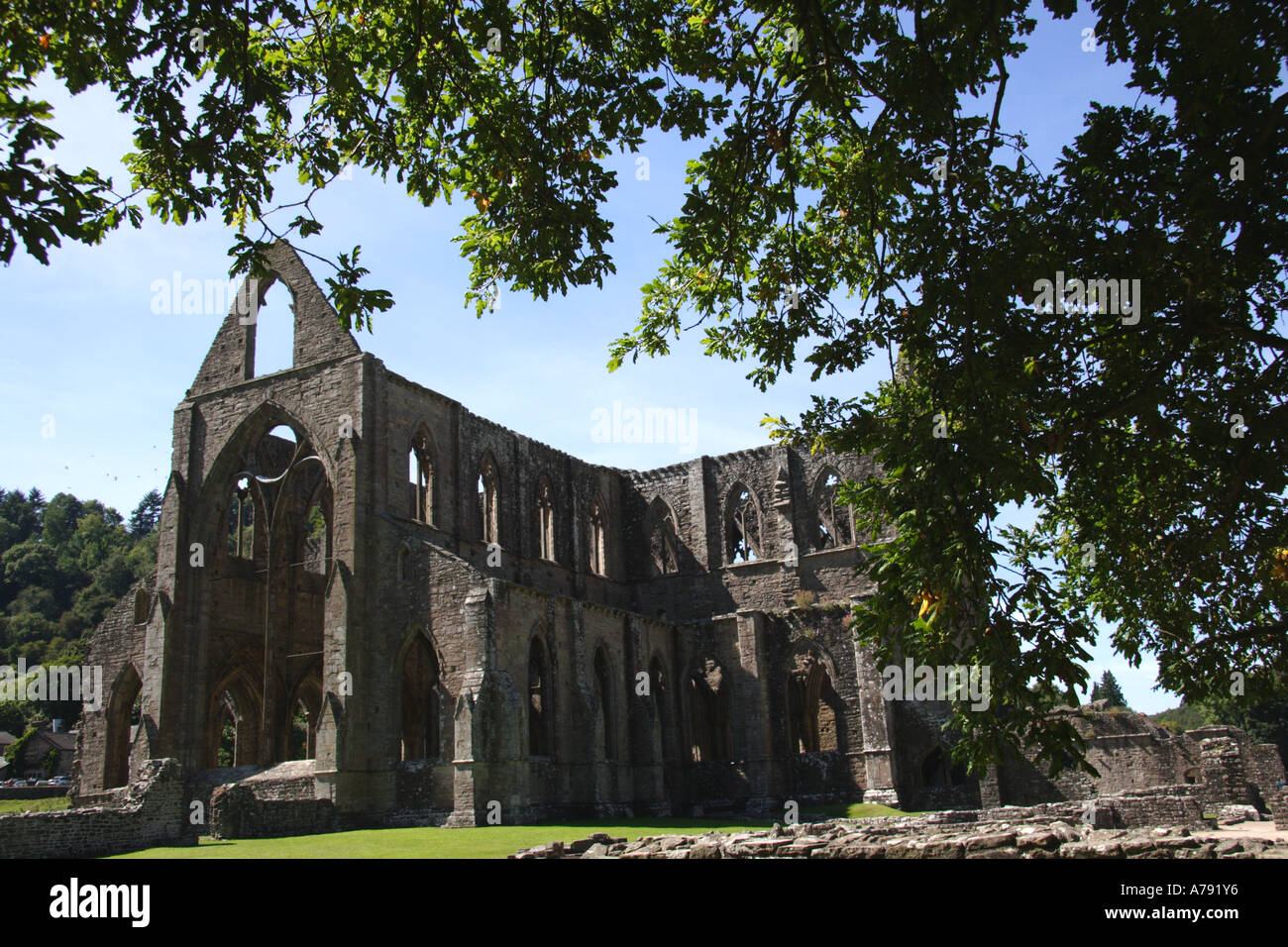 Old tintern abbey hi-res stock photography and images - Alamy