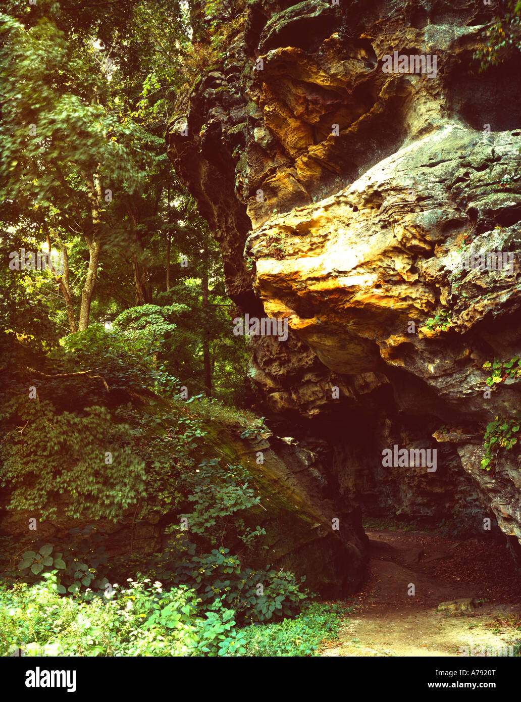 Forest path around boulder Stock Photo - Alamy