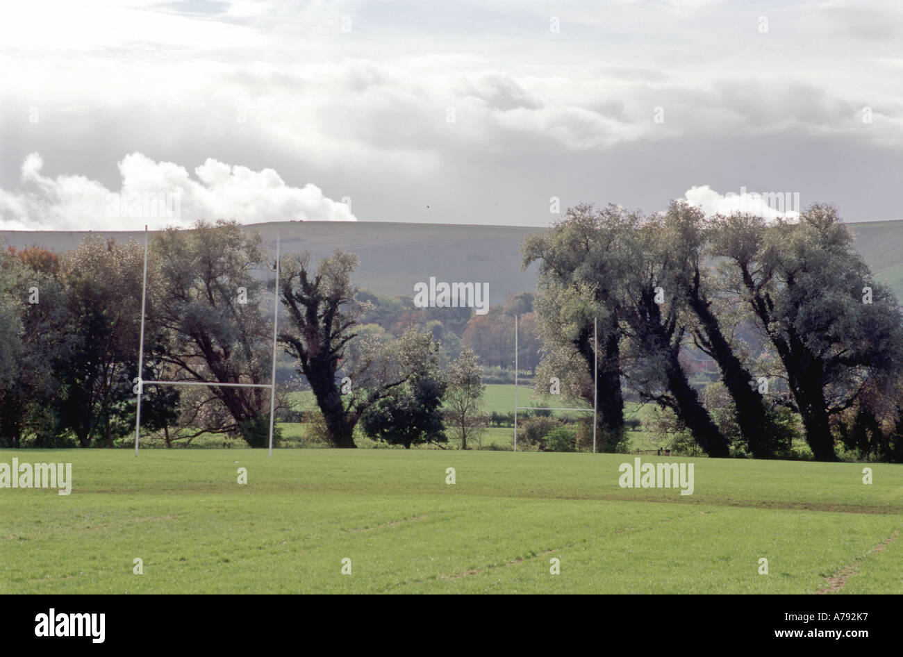 South Downs rugby field ancient willow trees landscape Sussex UK Stock ...