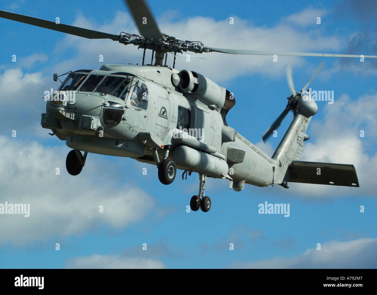 Knighthawk hi-res stock photography and images - Alamy