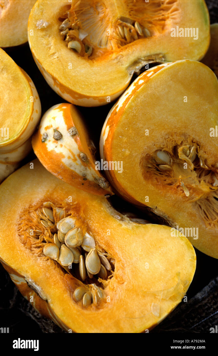 ENGLISH SWEET LIGHTENING SQUASH Stock Photo - Alamy