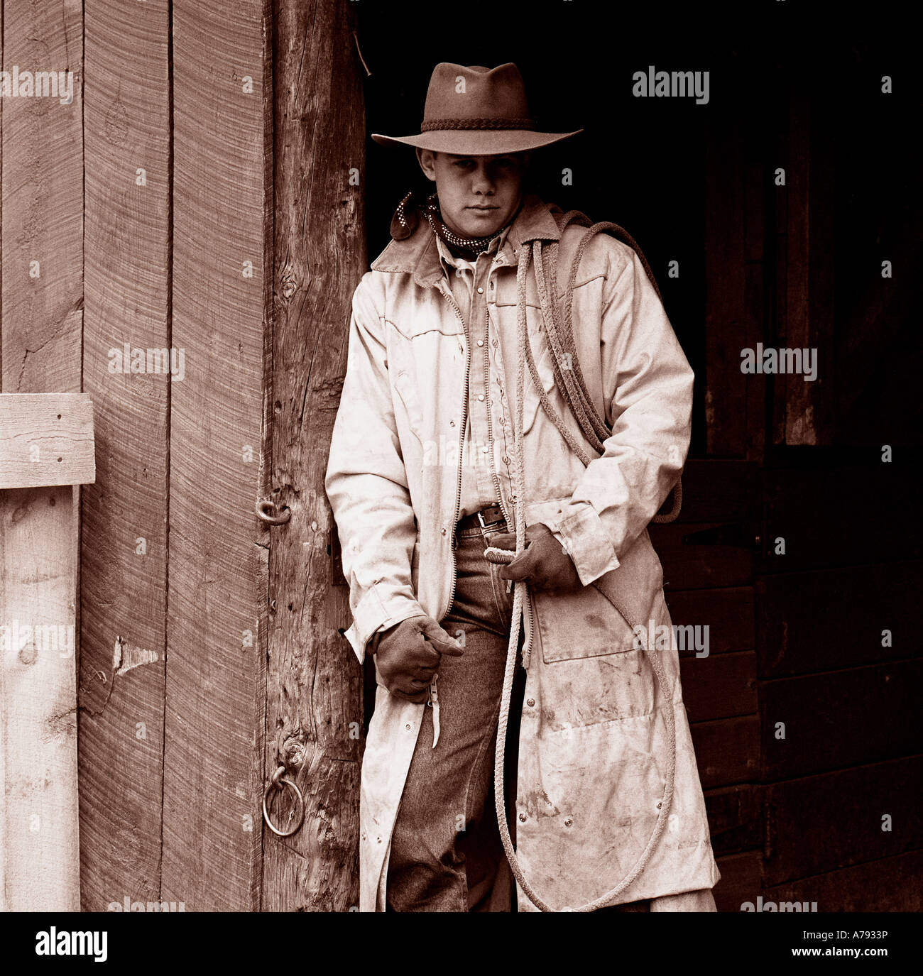 Ranch hand or cowboy at a Colorado, USA dude guest ranch Stock Photo ...