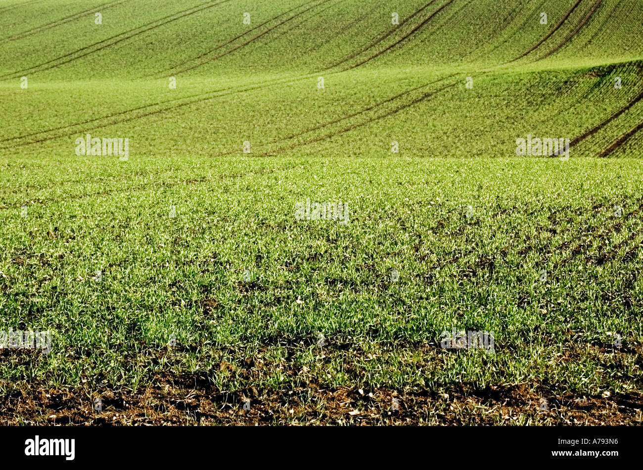 Diagonal furrows hi-res stock photography and images - Alamy