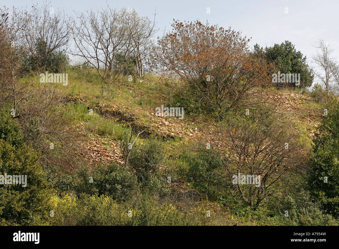 Monte testaccio hi-res stock photography and images - Alamy