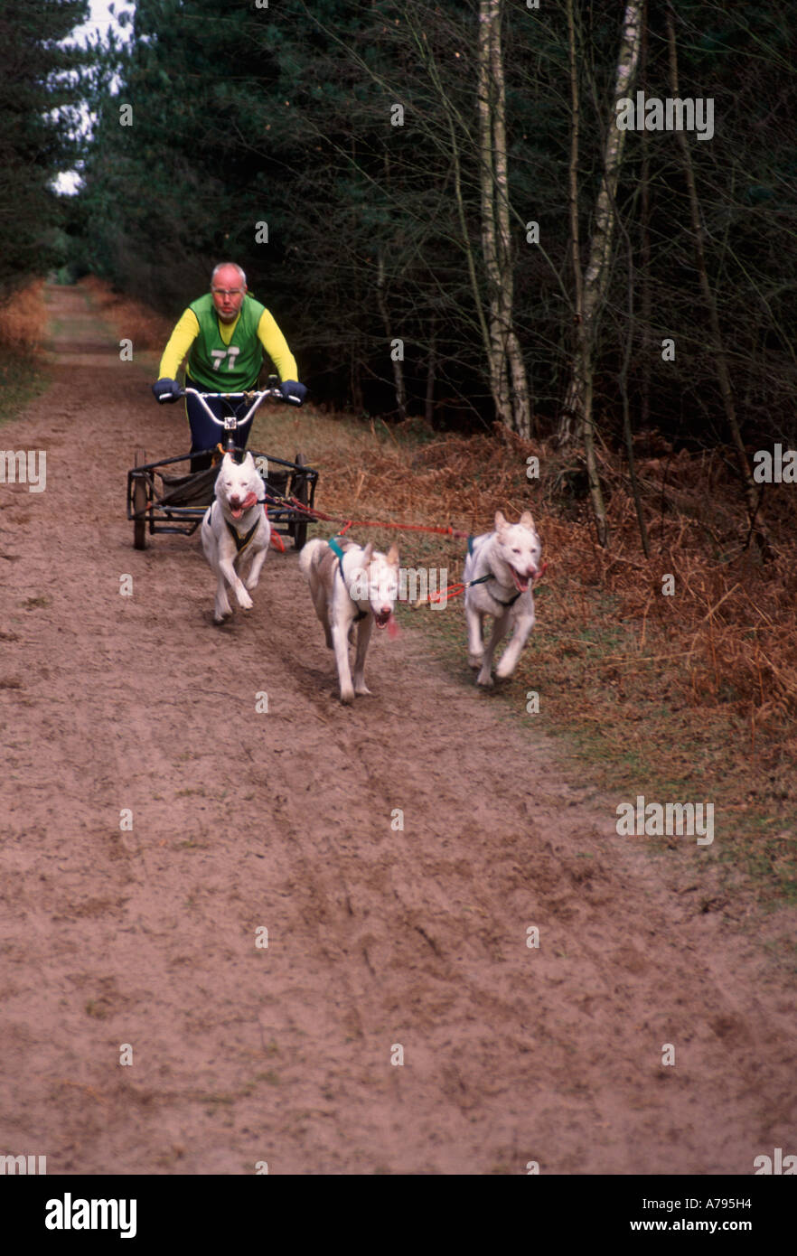 Suffolk racing hi-res stock photography and images - Alamy