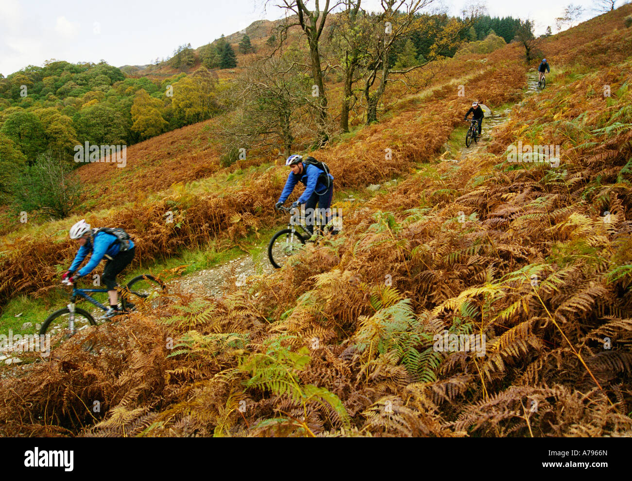 Cycle Path Uk Lake District High Resolution Stock Photography and ...