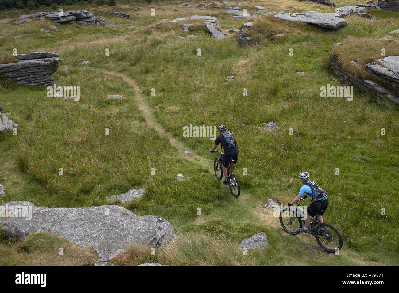 Mountain Bikers Ride a Single Track Path on Dartmoor Stock Photo - Alamy