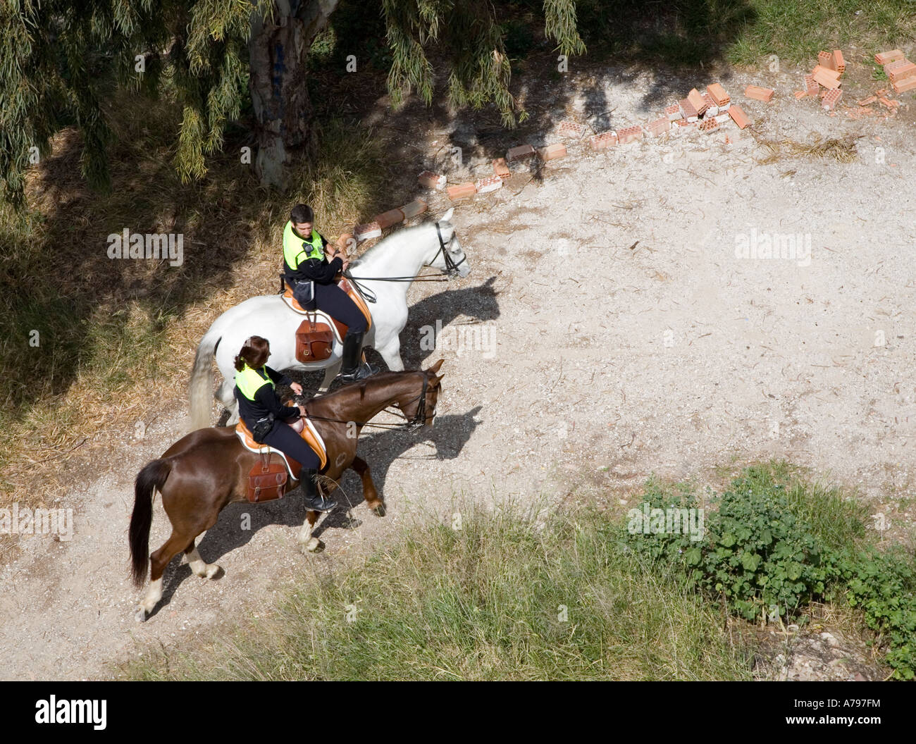Mounted police patrolling woodland track Malaga Spain Stock Photo - Alamy