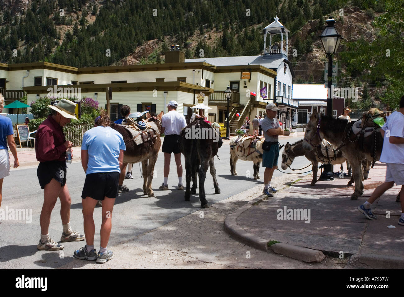 Donkey race hi-res stock photography and images - Alamy
