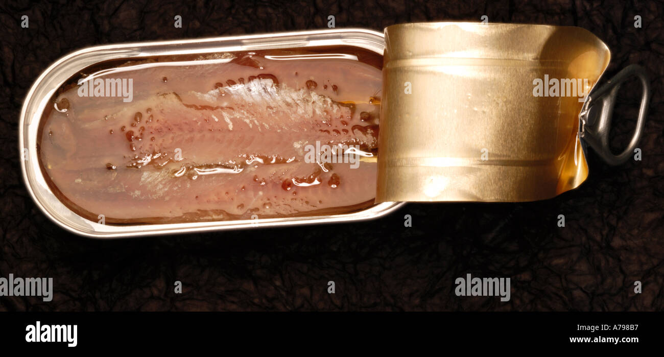 open tin of anchovies in oil Stock Photo - Alamy