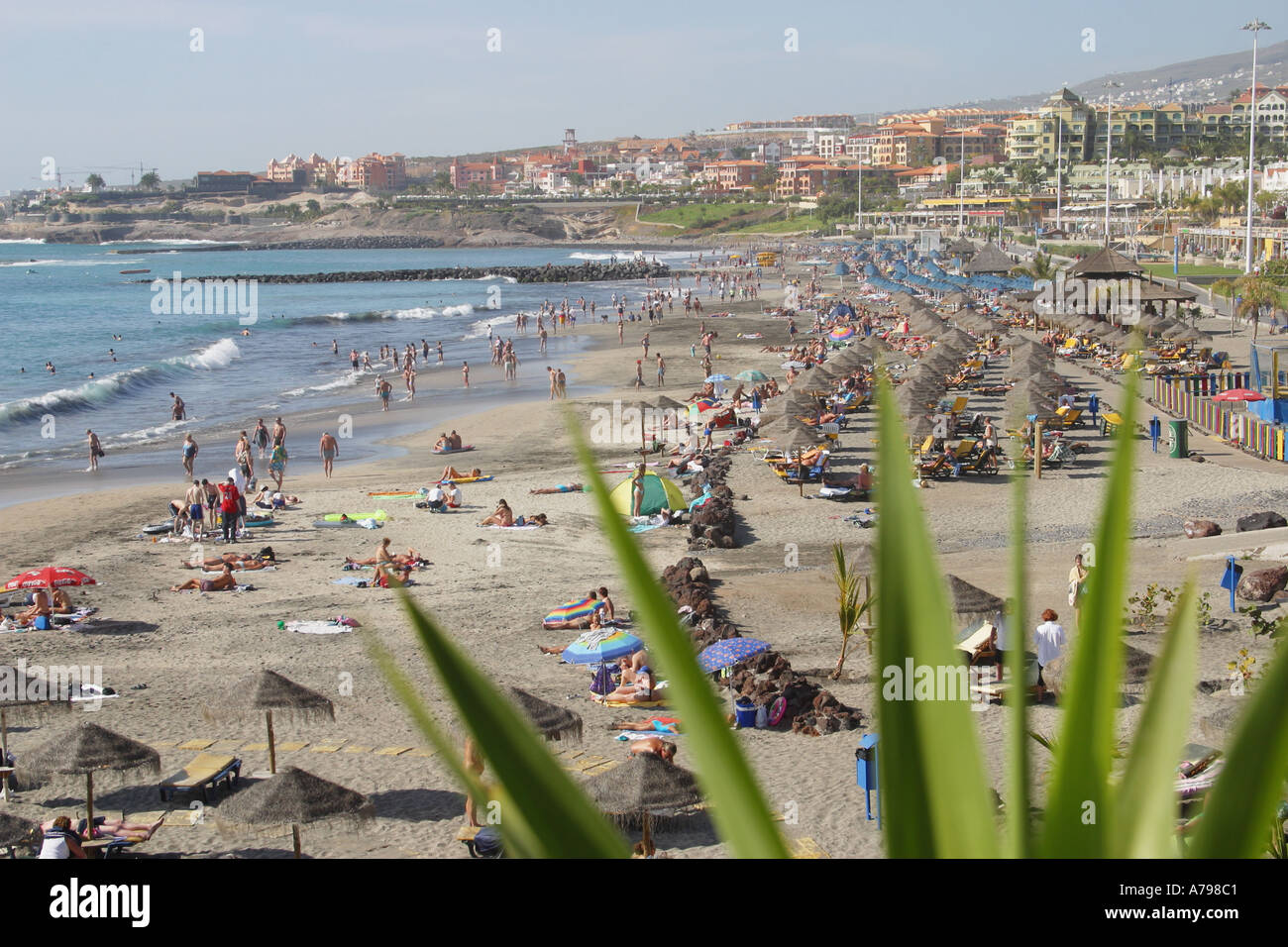 Playa Fanabe, Costa Adeje, Tenerife, Canary Islands, Spain Stock Photo - Alamy