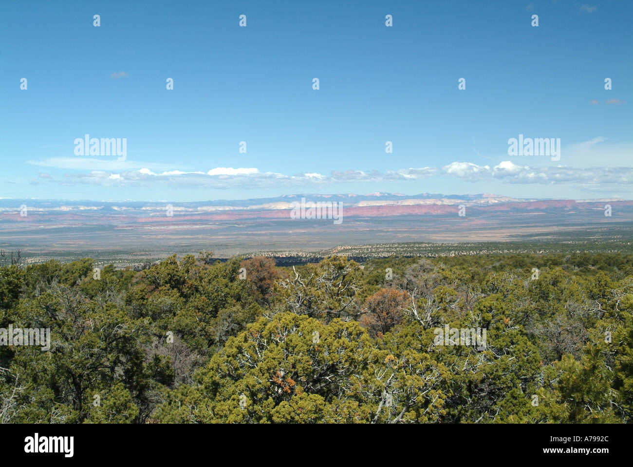 Jacob lake hi-res stock photography and images - Alamy