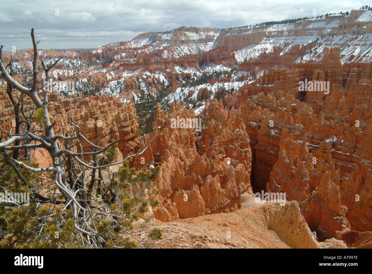 View of Bryce Canyon Utah from Sunset Point Stock Photo - Alamy