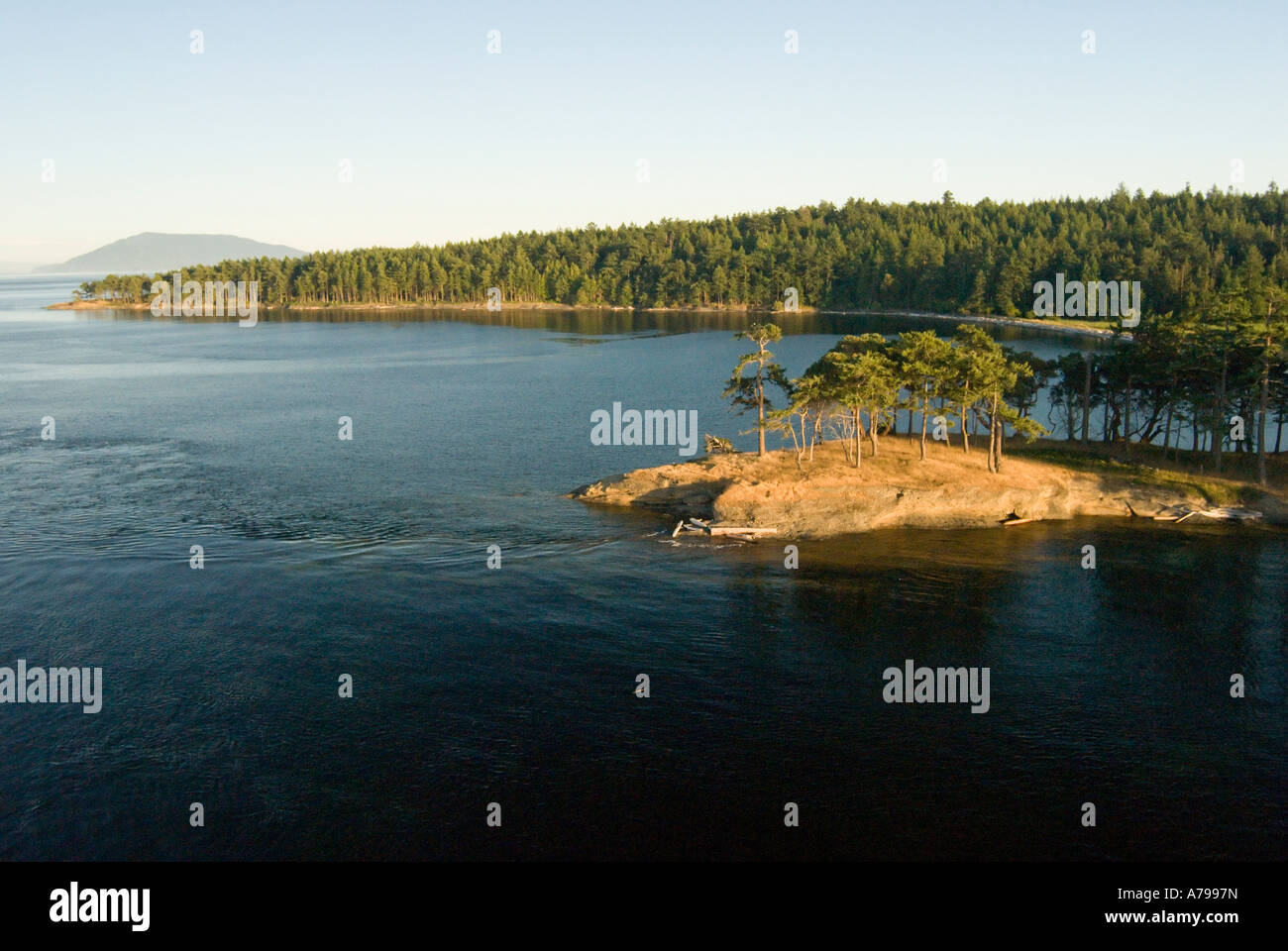 Aerial photo of Tumbo Island in Gulf Islands National Park Reserve near ...