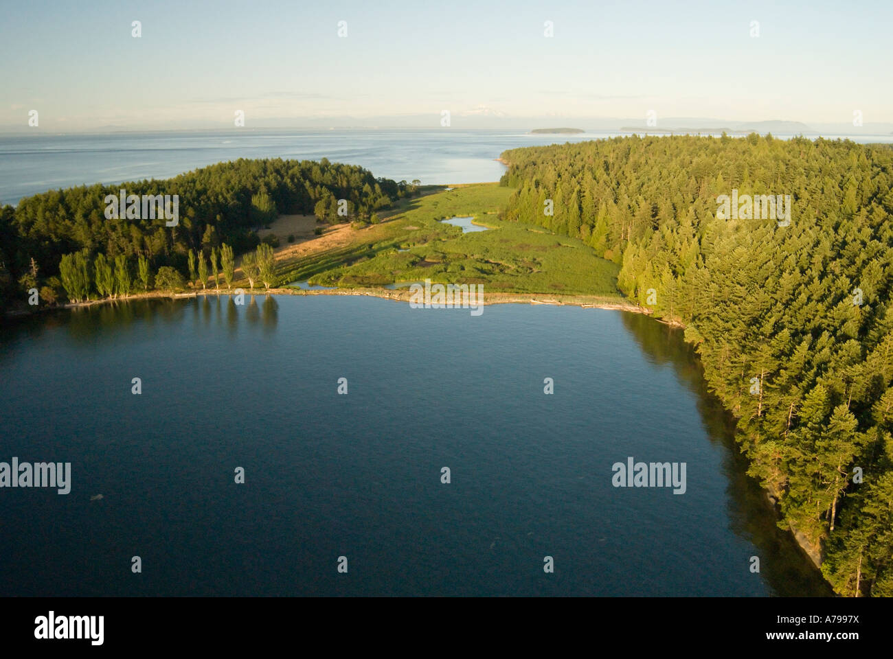 Aerial photograph of the saltwater marsh at Tumbo Island in Gulf ...