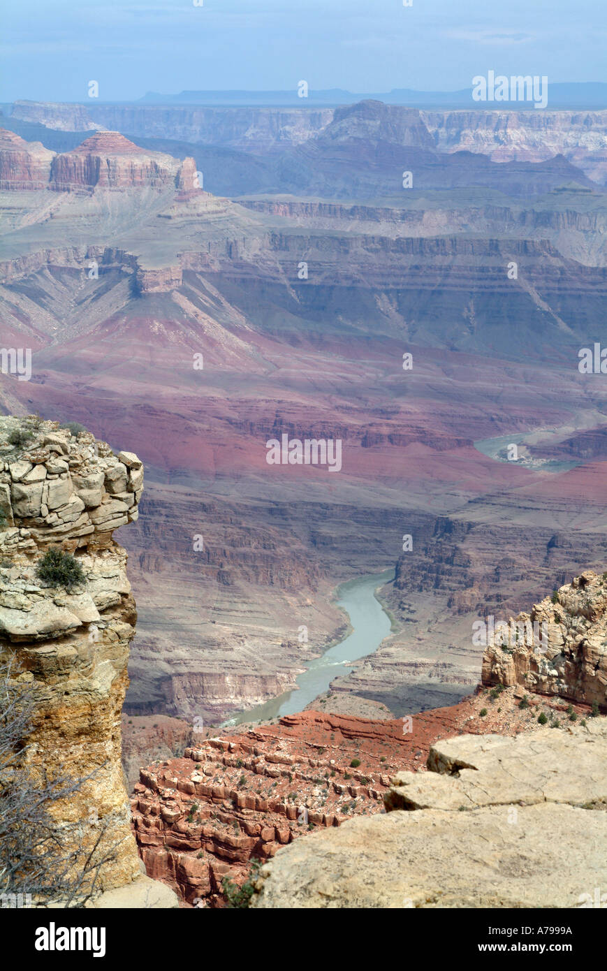 View of Grand Canyon from Moran Point Desert View Drive Stock Photo - Alamy