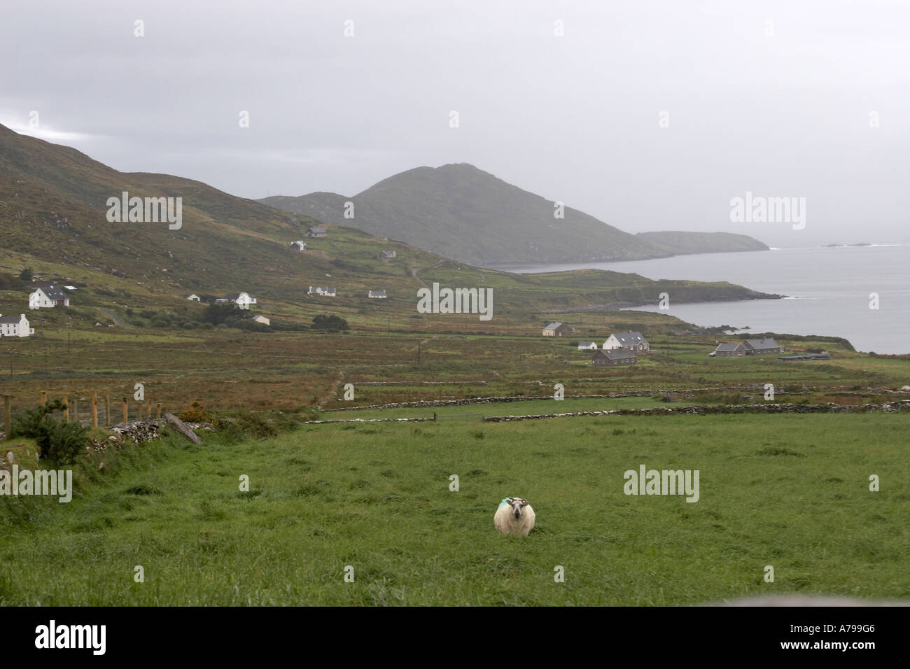 Misty rainy weather agricultural farming landscape of Hog s Head with ...