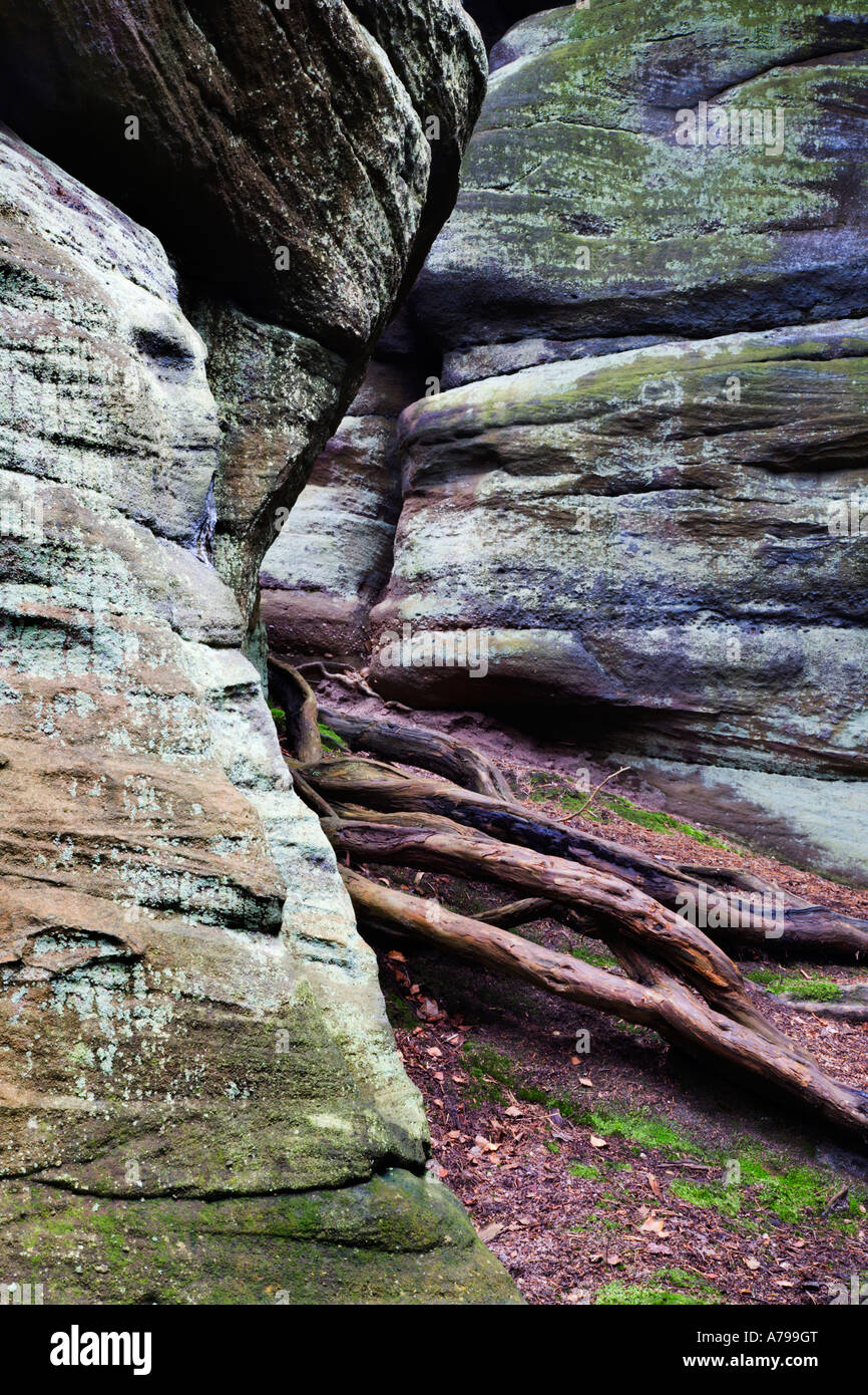 Plumpton rocks hi-res stock photography and images - Alamy