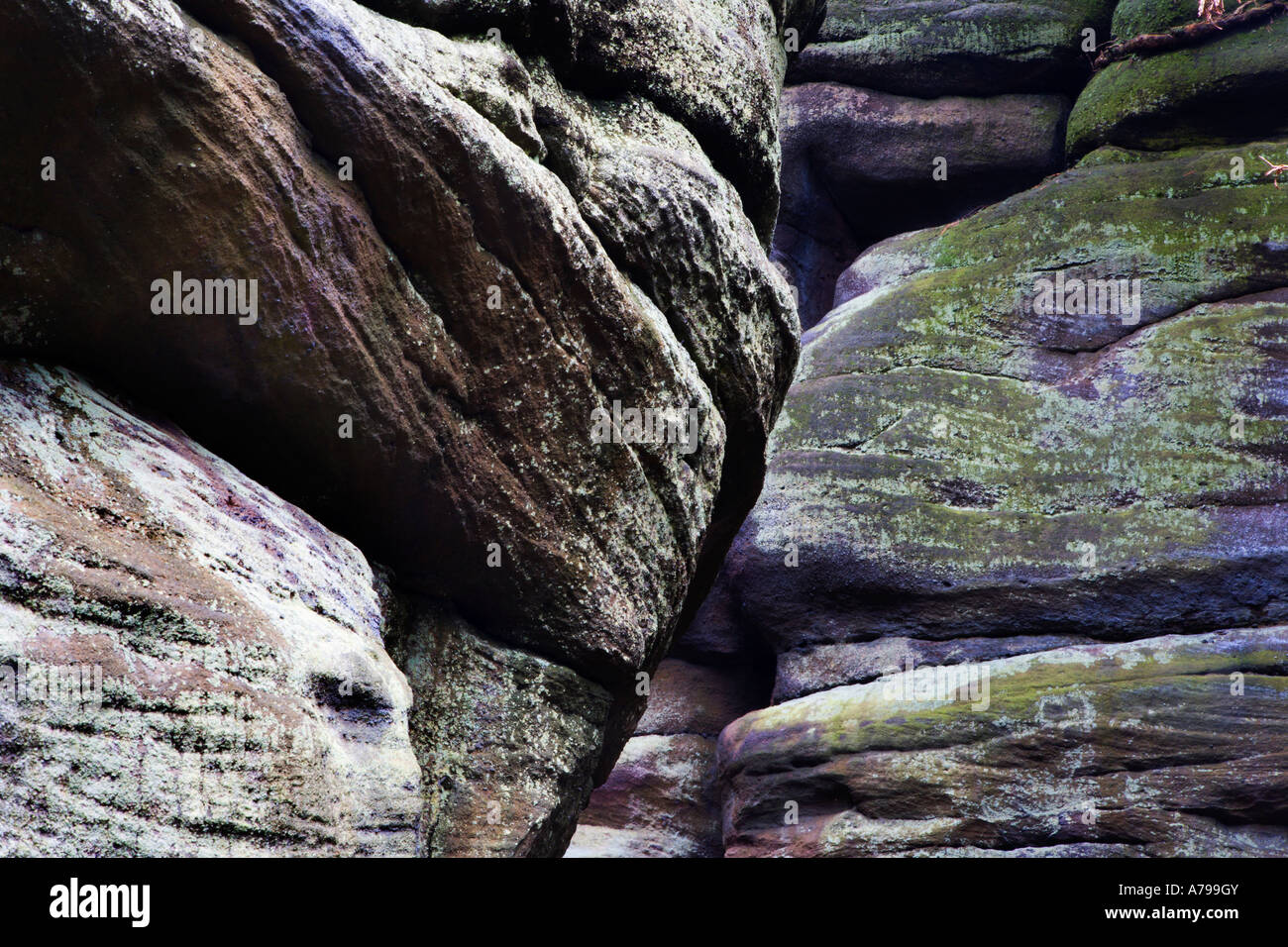 Plumpton Rocks near Knaresborough North Yorkshire England Stock Photo ...