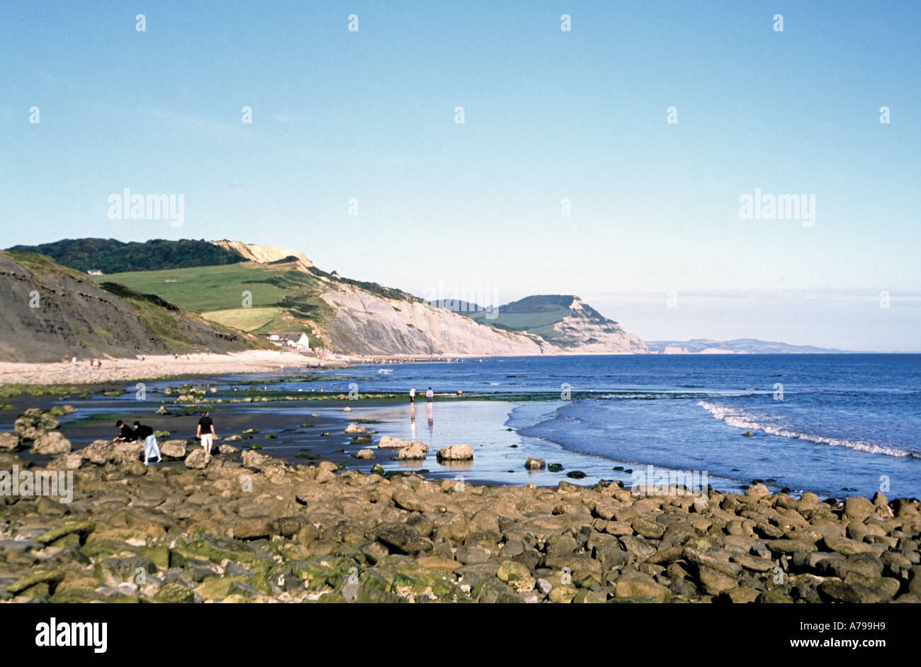 Kimmeridge Bay Jurassic Coast Dorset England UK Stock Photo - Alamy