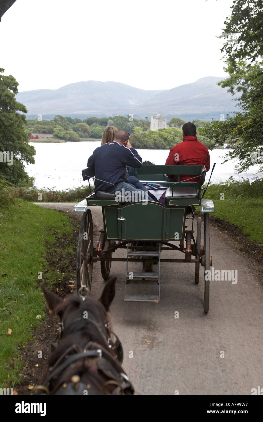 Irish jaunting cart hi-res stock photography and images - Alamy