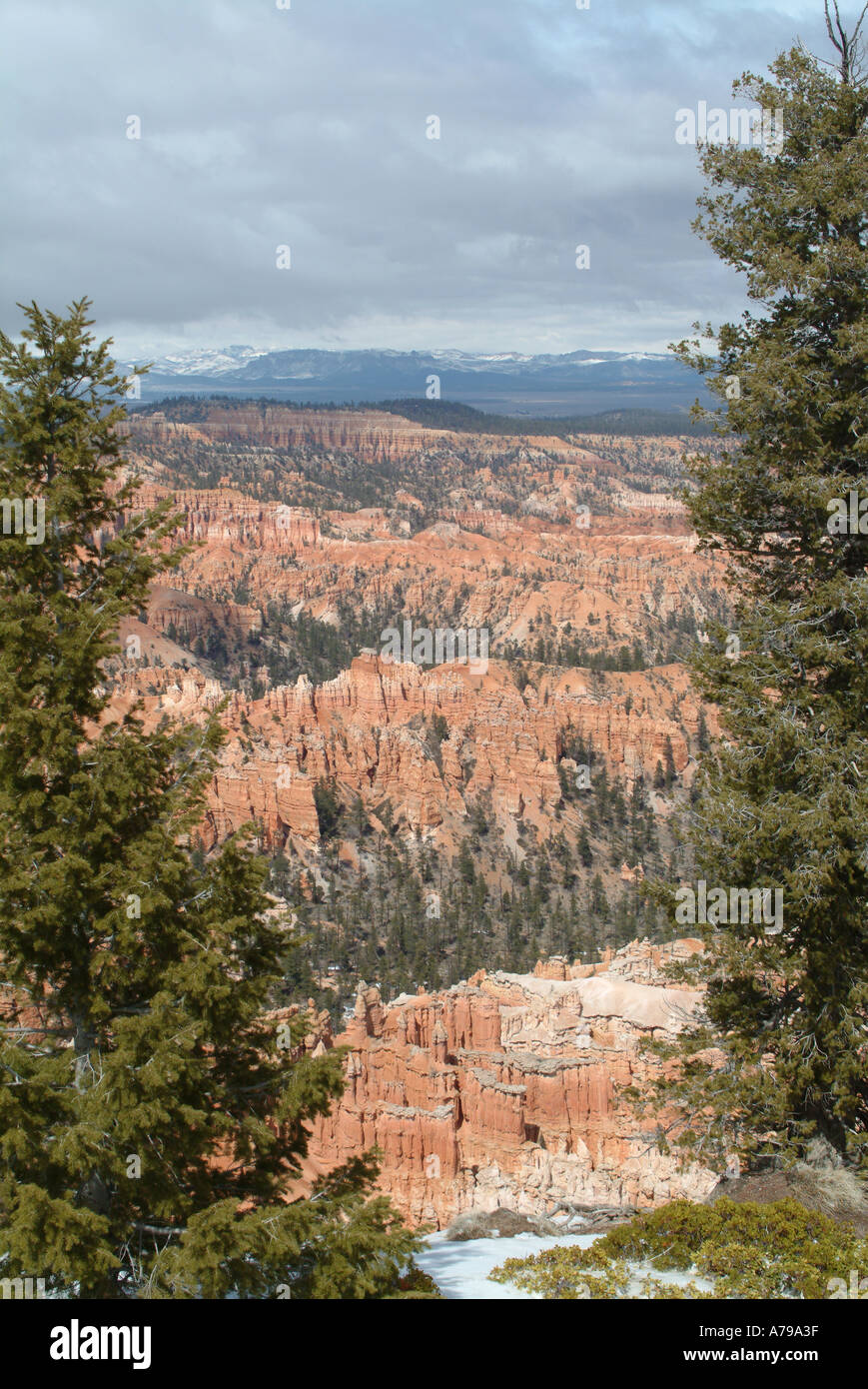Bruce canyon hi-res stock photography and images - Alamy