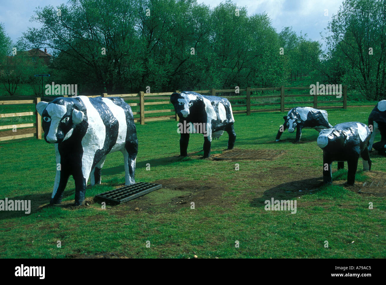 Concrete cows Milton Keynes Buckinghamshire England Stock Photo - Alamy