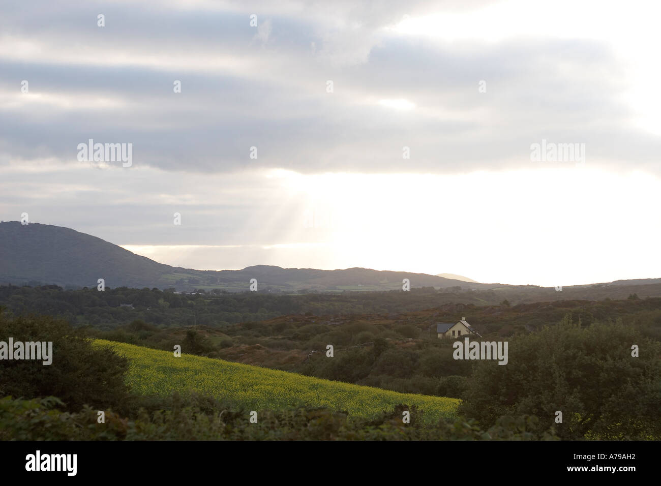 Irish hillside cottage hi-res stock photography and images - Alamy