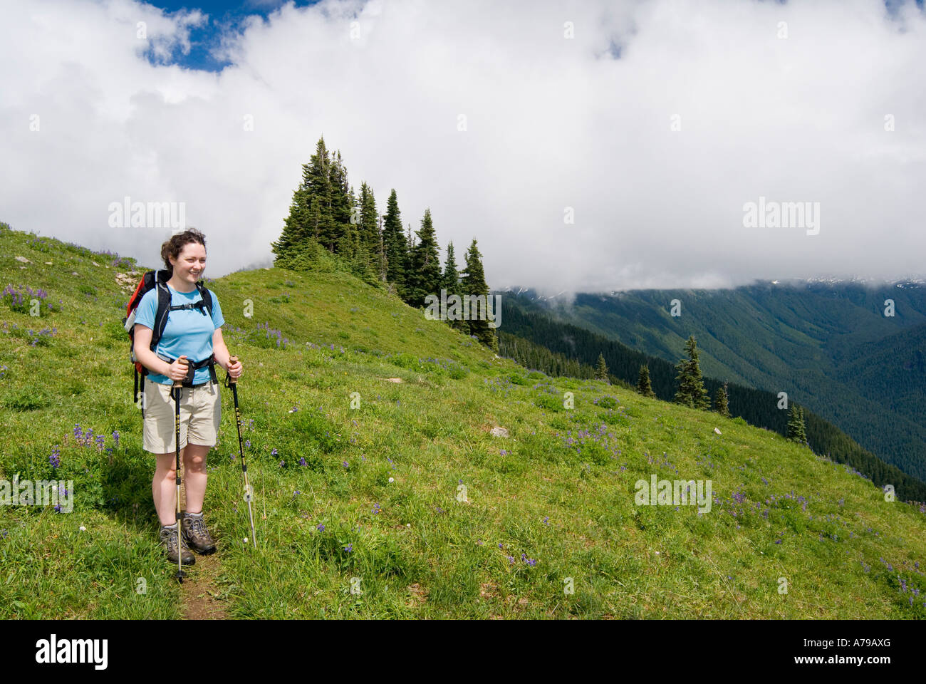A woman hiker looks out over the Hoh River Valley in Olympic National ...
