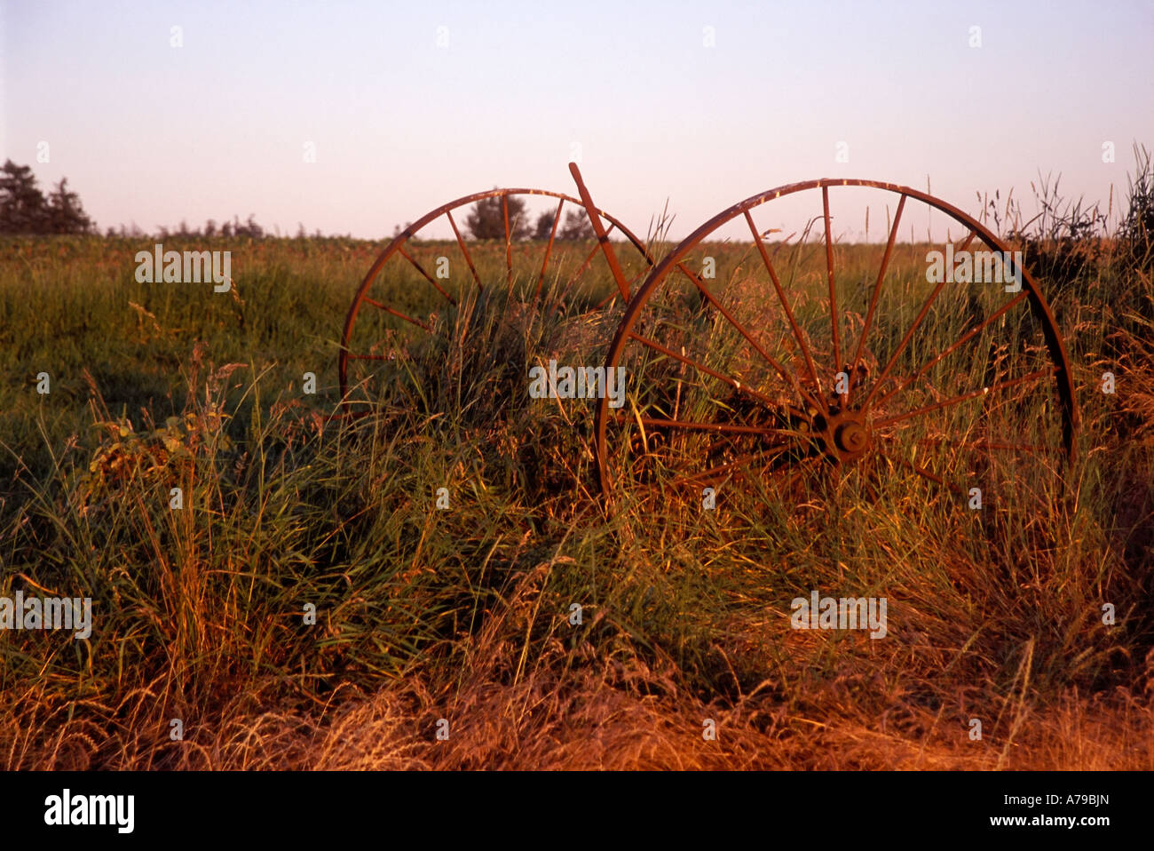 Old wagon wheels on farm hi-res stock photography and images - Alamy