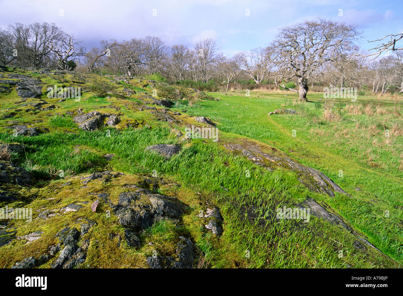 Uplands Park Victoria BC Stock Photo - Alamy