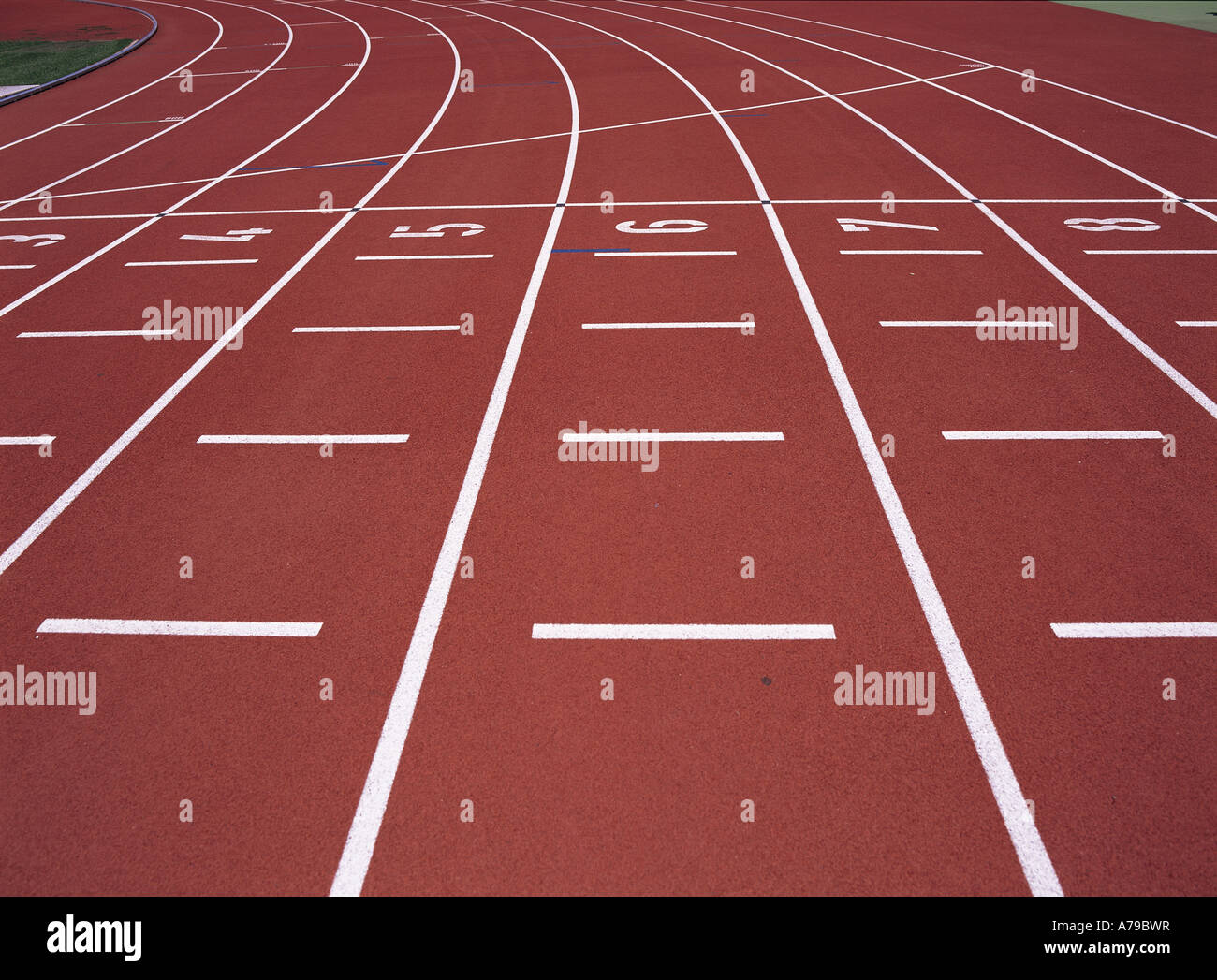 Olympic running track Homebush Sydney Australia Stock Photo - Alamy