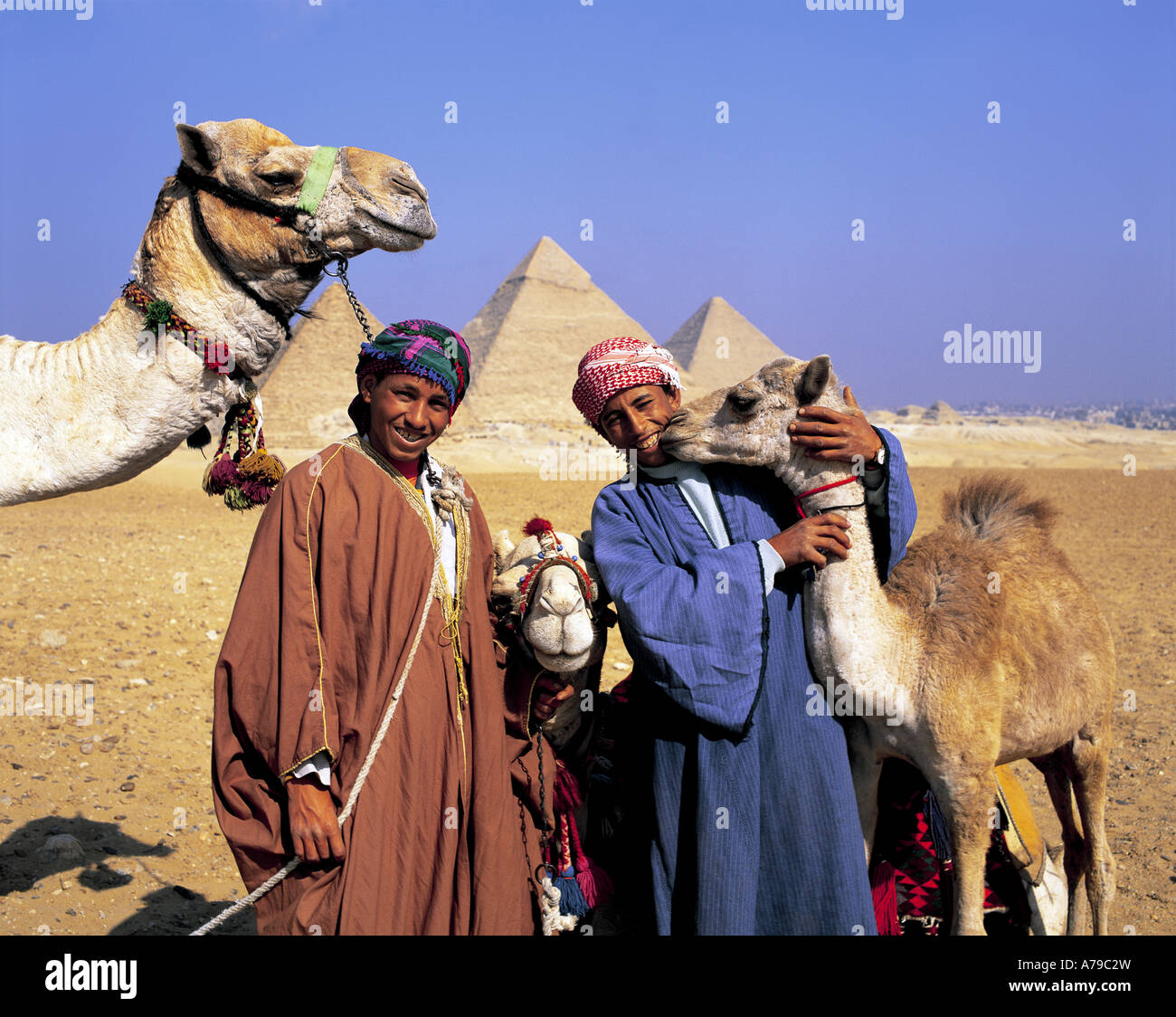 Camel riders at Giza pyramids Cairo Egypt Stock Photo - Alamy