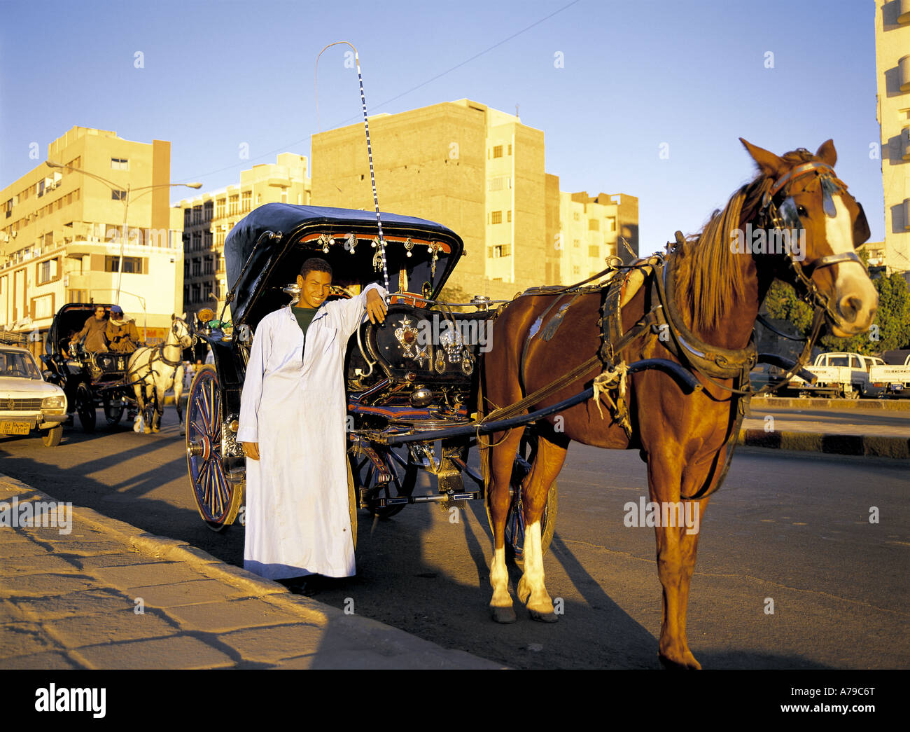 Horse carriage luxor egypt hi-res stock photography and images - Alamy