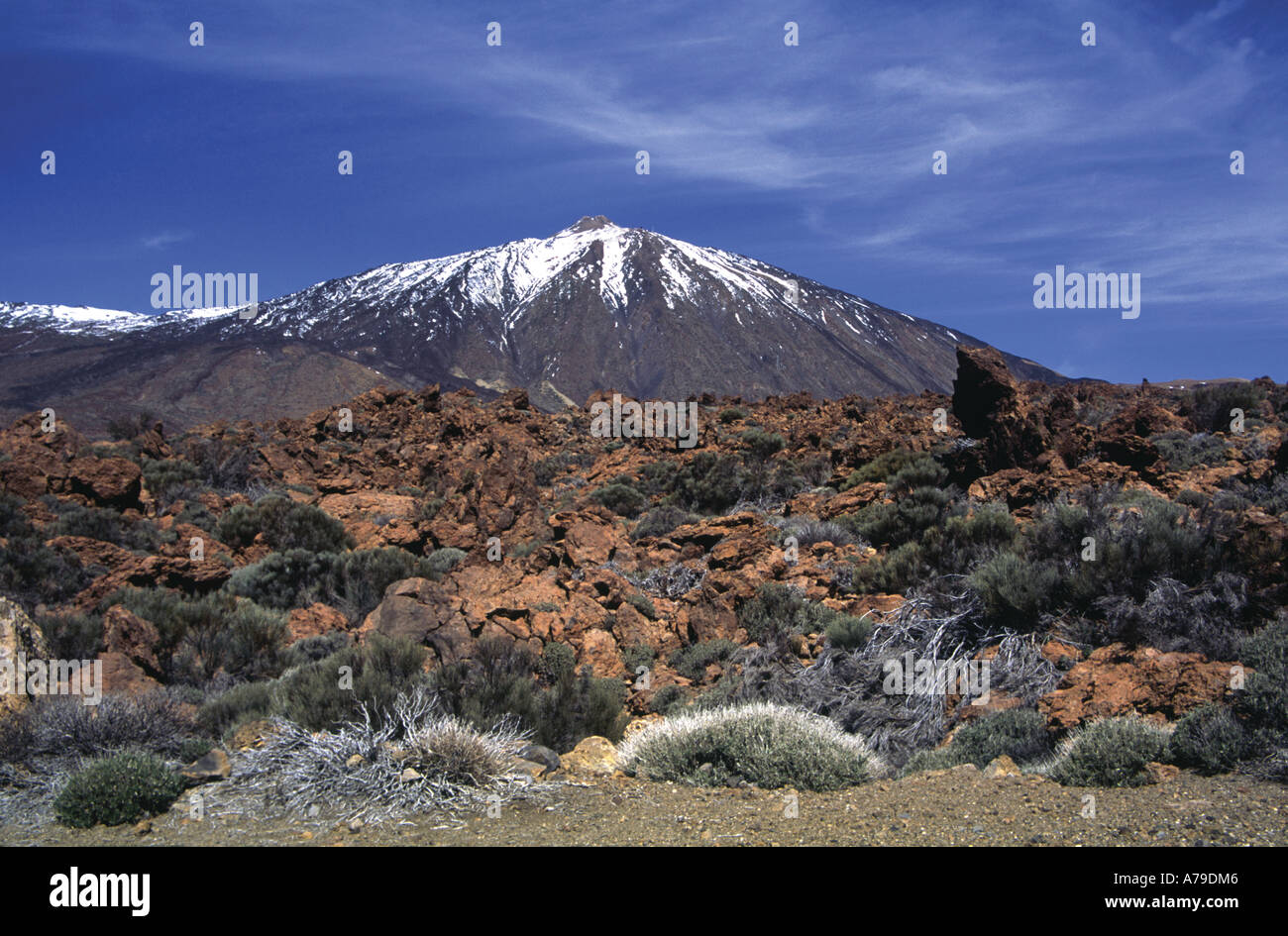 Mount Tiede Tenerife in spring Canary Islands Spain Stock Photo - Alamy