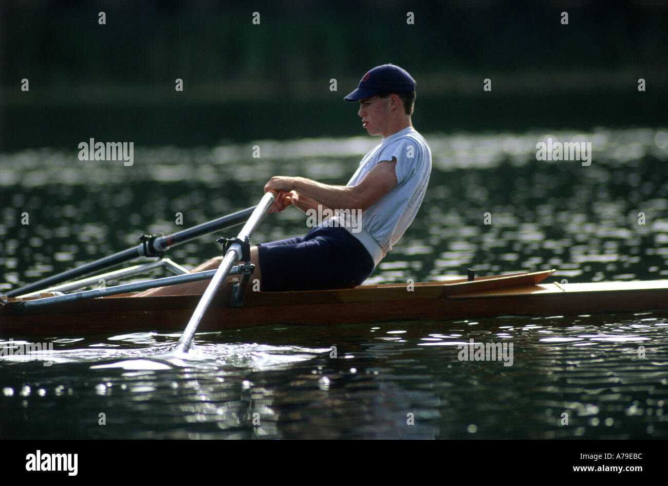 Male rower on a placid lake Stock Photo - Alamy