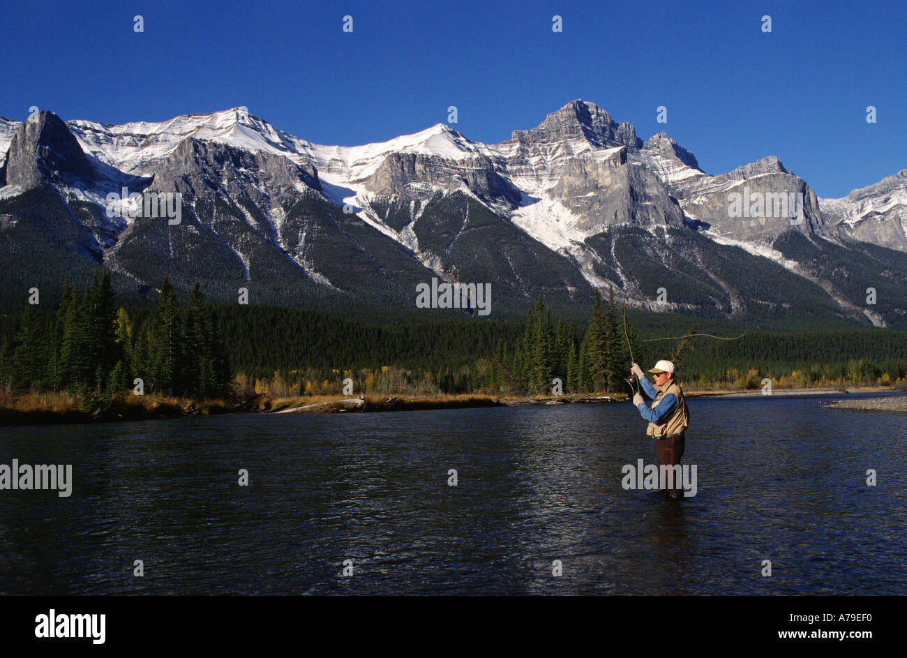Alberta trout fishing river hi-res stock photography and images - Alamy